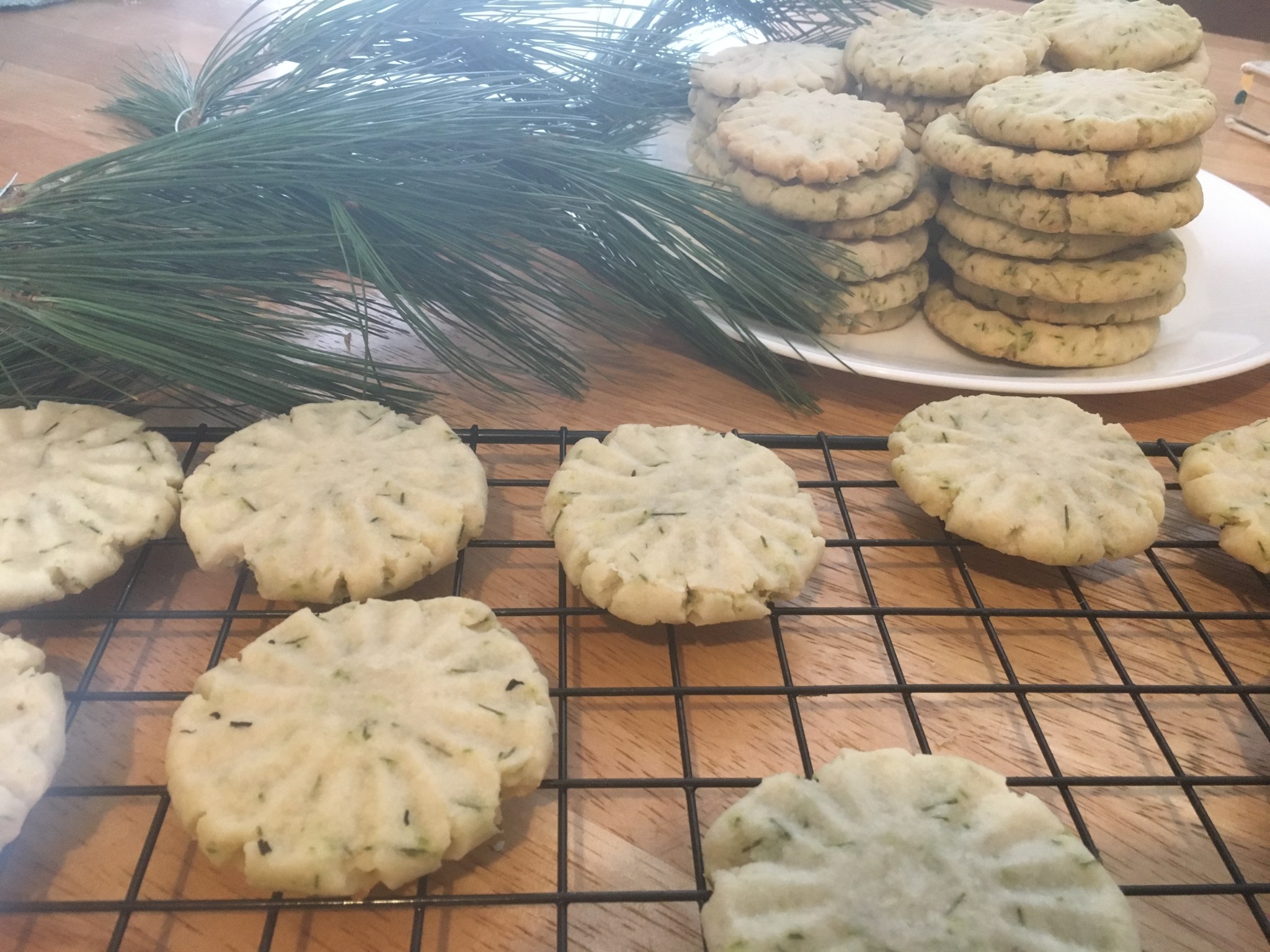White Pine Cookies – Northern Wild woman